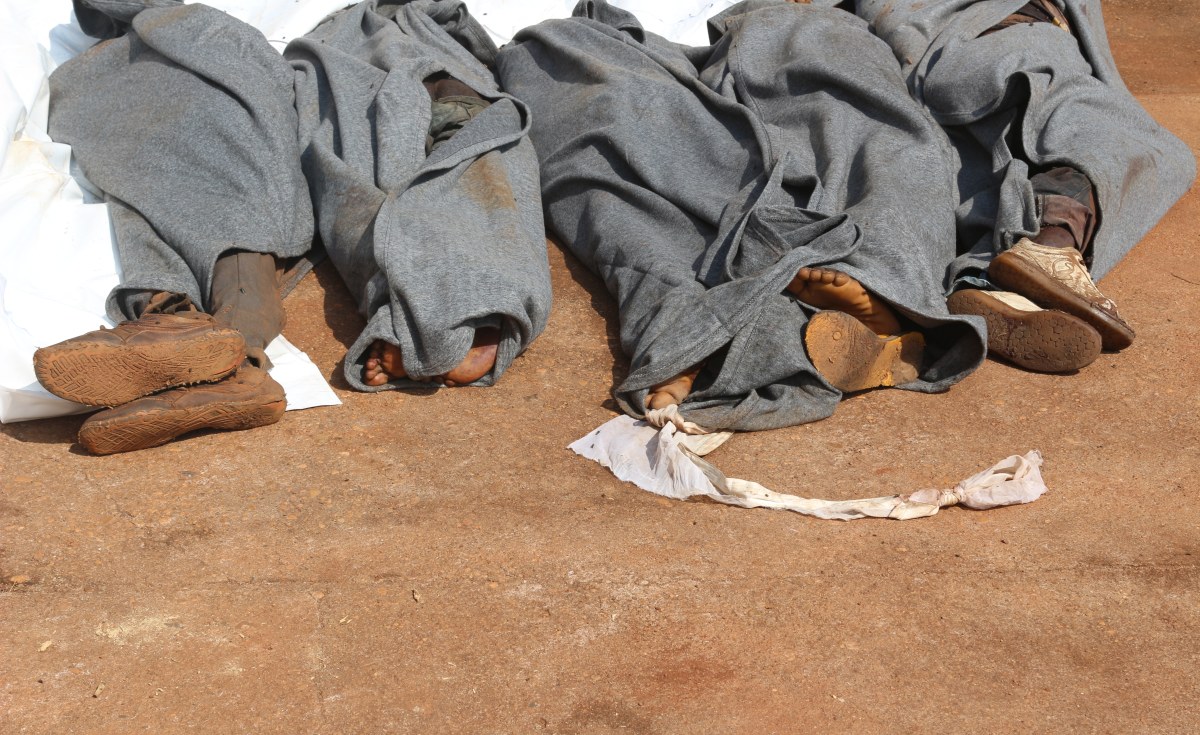 UN Documents Human Rights Abuses in CAR - allAfrica.com