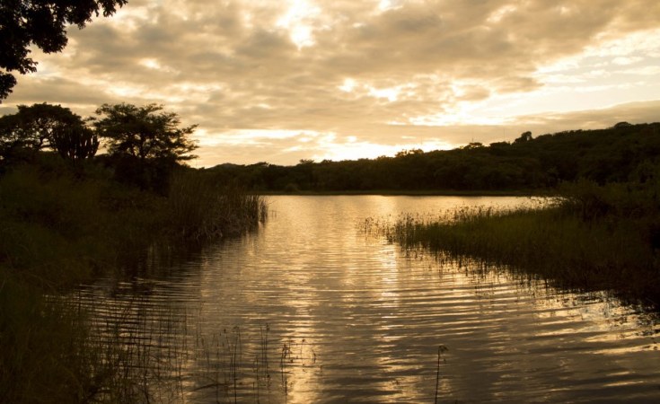 Zimbabwe: Tragedy On the Zambezi - allAfrica.com