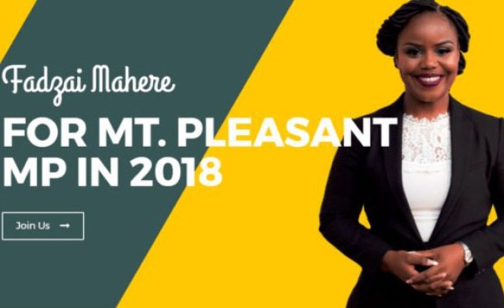 Zimbabwe: Mahere Enters Mainstream Politics, Eyes Zanu-PF Seat ...