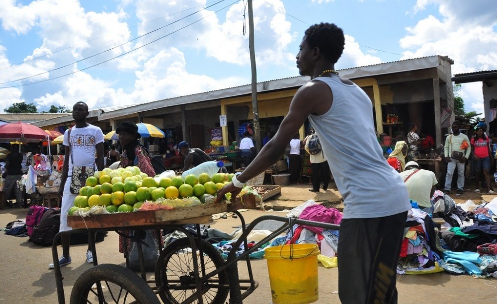 Cameroon: Far North - Reconstruction Amid On-Going Conflict - allAfrica.com
