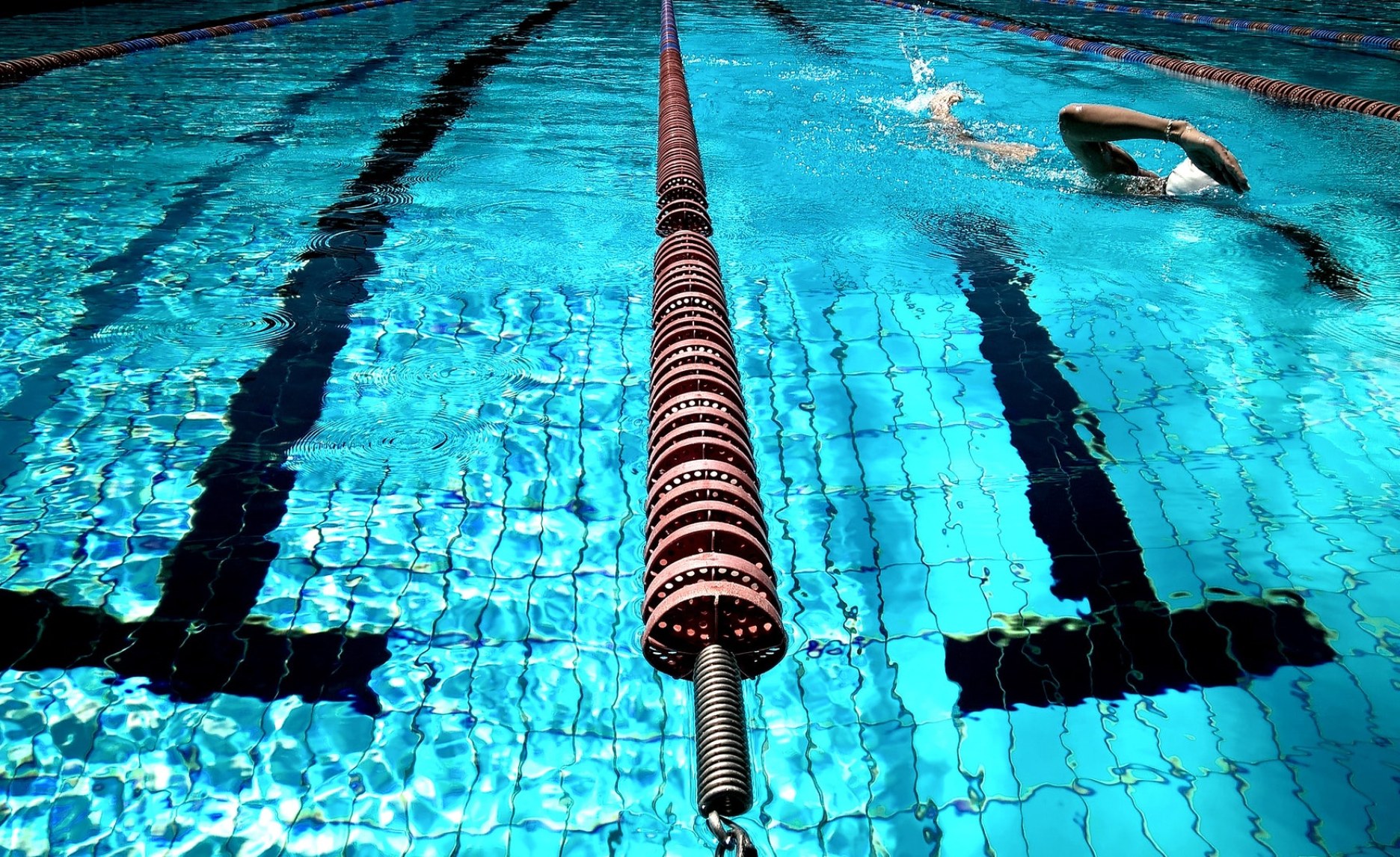 Zimbabwe Swimming Prodigy Dubbed Zimbabwe s Next Kirsty Coventry zimbabwe-swimming-prodigy-dubbed-zimbabwe-s-next-kirsty-coventry