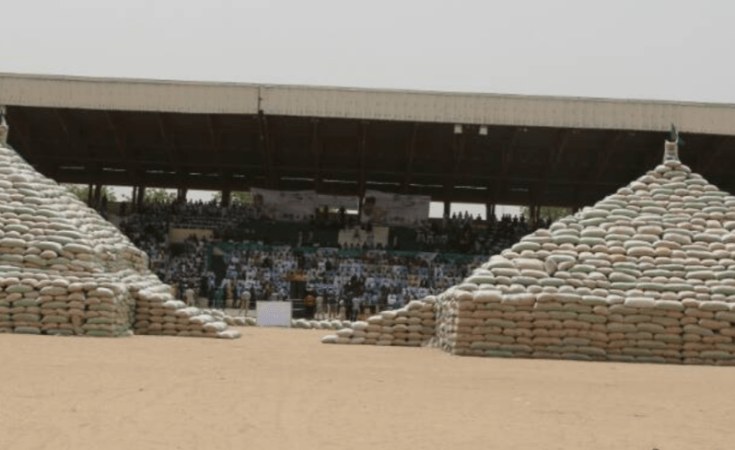 Nigeria: Despite Boko Haram, Borno Launches First Rice Pyramid in North ...