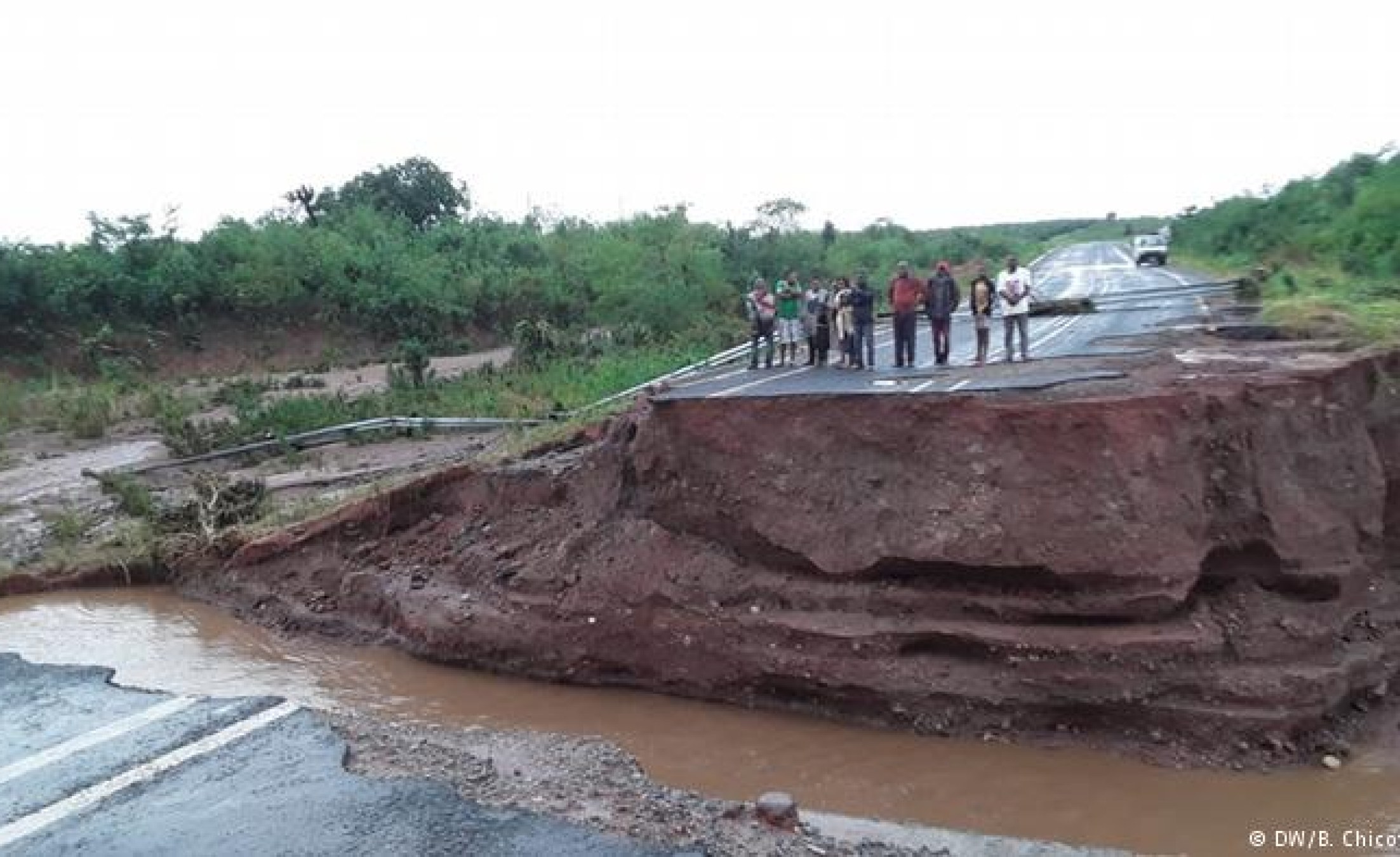Zimbabwe: Deforestation Seen as Aggravating Flood Crisis - allAfrica.com
