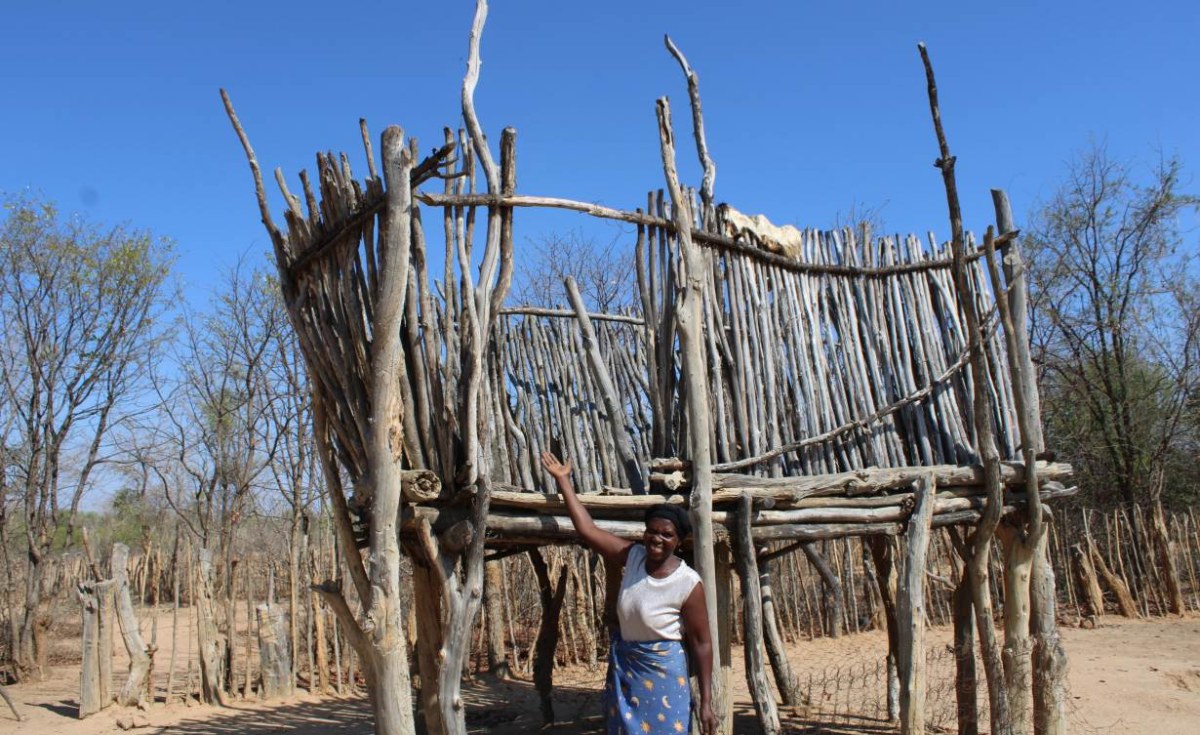 Zimbabwe Declares State of Disaster Over Widespread Drought - allAfrica.com