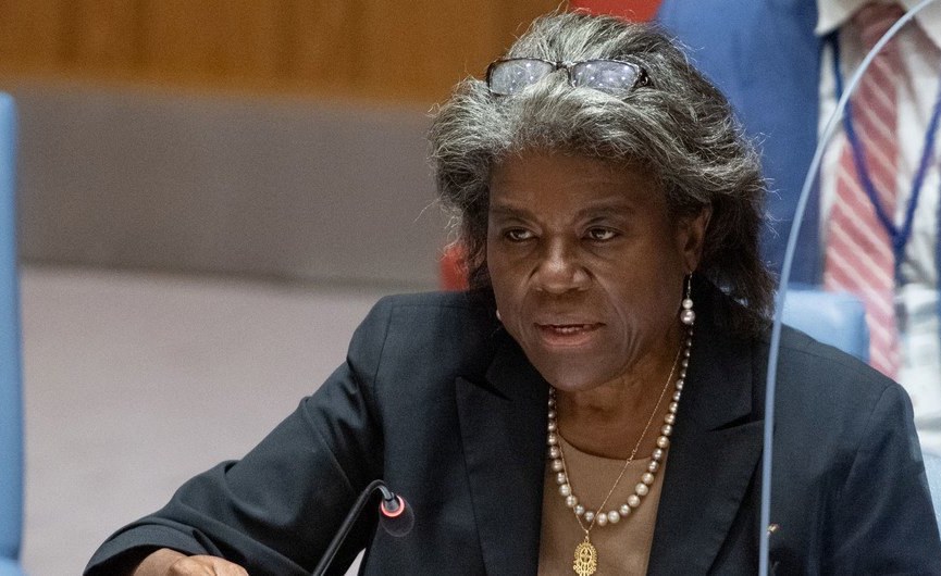 Africa: Special Online Briefing With Ambassador Linda Thomas-Greenfield ...