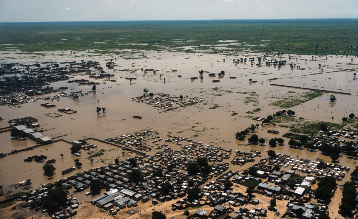 Nigeria: Maiduguri Flood - Some Residents Still Trapped - Ndume ...